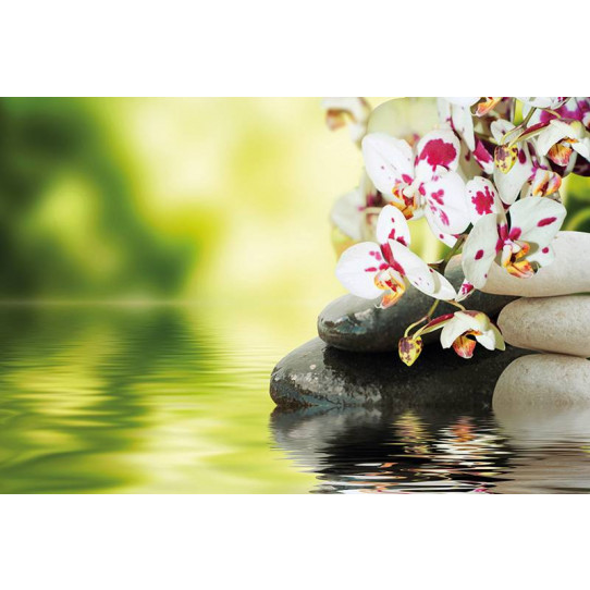 Poster - Affiche zen - Des prix 50% moins cher qu'en magasin