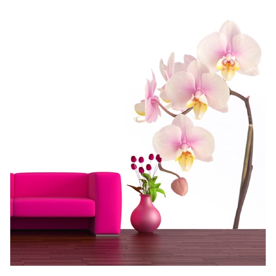 Stickers Fleur - Des prix 50% moins cher qu'en magasin